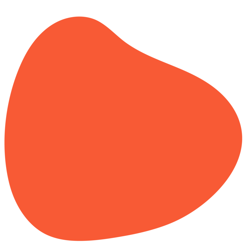 Online store marketing – Little Big Shop